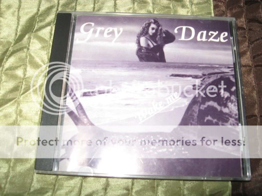 Previous Bands - Percy's Linkin Park Library